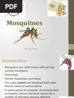 Life Cycle of Female Anopheles Mosquito | PDF | Mosquito | Fly
