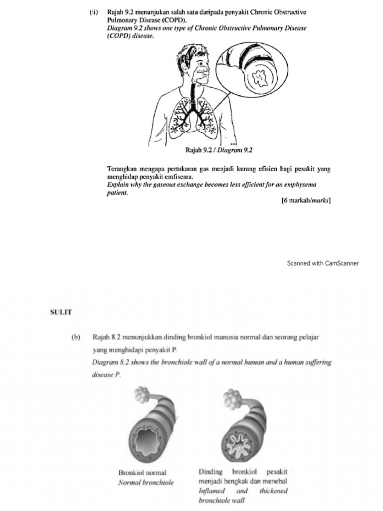 Bab 8 T4 Trial Biologi 2022 | PDF