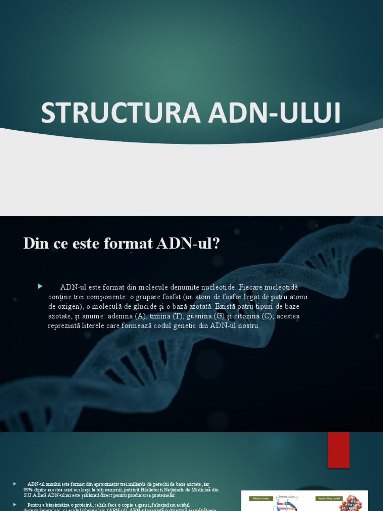 Structura Adn-Ului | PDF