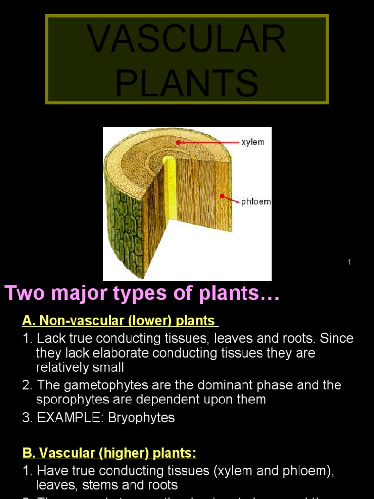 Nota Biologi Uni | Download Free PDF | Spore | Tissue (Biology)