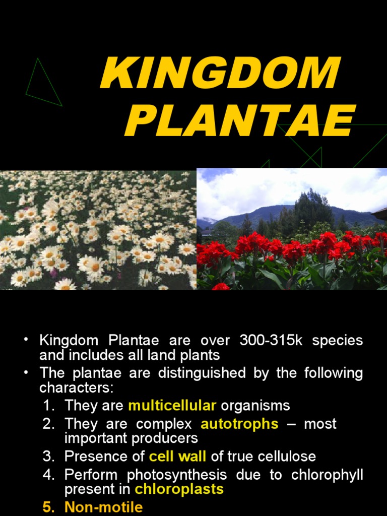 Nota Biologi (Byrophyta) | PDF | Moss | Plants