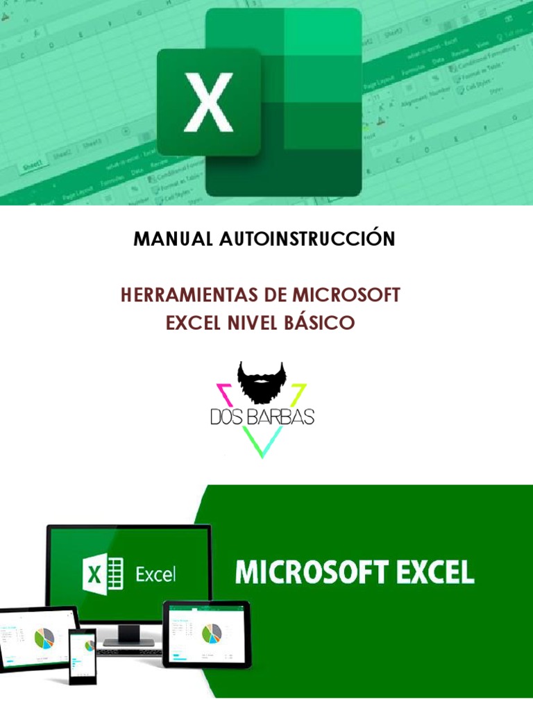Manual Excel Básico DosBarbas | PDF | Microsoft Excel | Hoja de cálculo