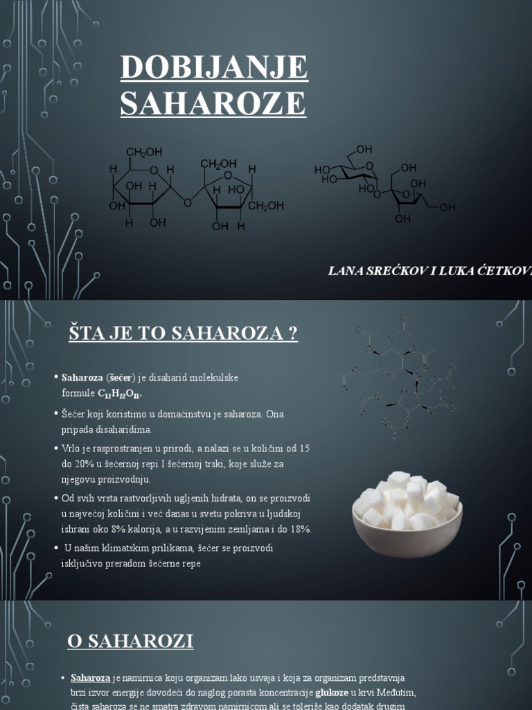Dobijanje Saharoze: Lana Srećkov I Luka Ćetković | PDF