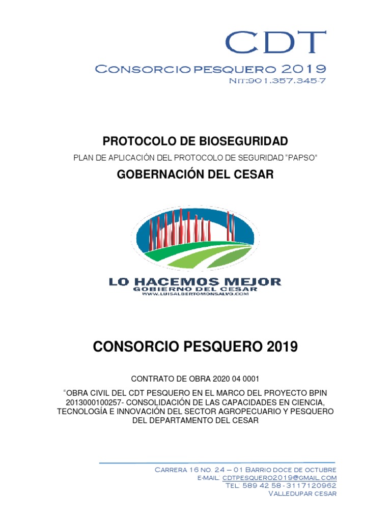 CDT Protocolo | PDF | Agua | Lavado de manos