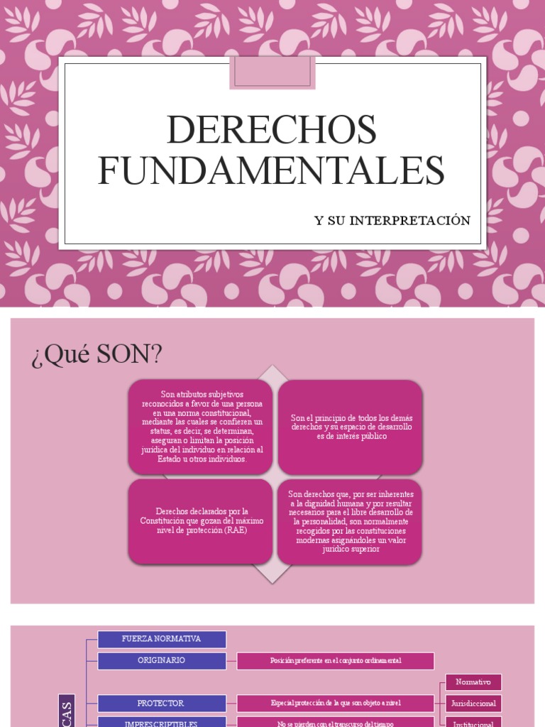 5 Derechos Fundamentales | PDF | Derecho Constitucional | Derechos