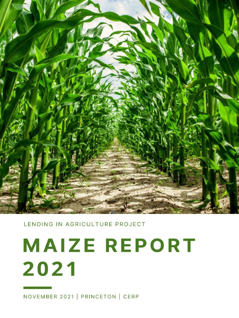 Maize Lending Project Report 2021 | PDF | Agriculture | Prices