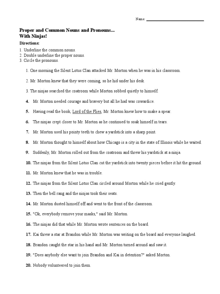 Proper Nouns Common Nouns Pronouns Pdf