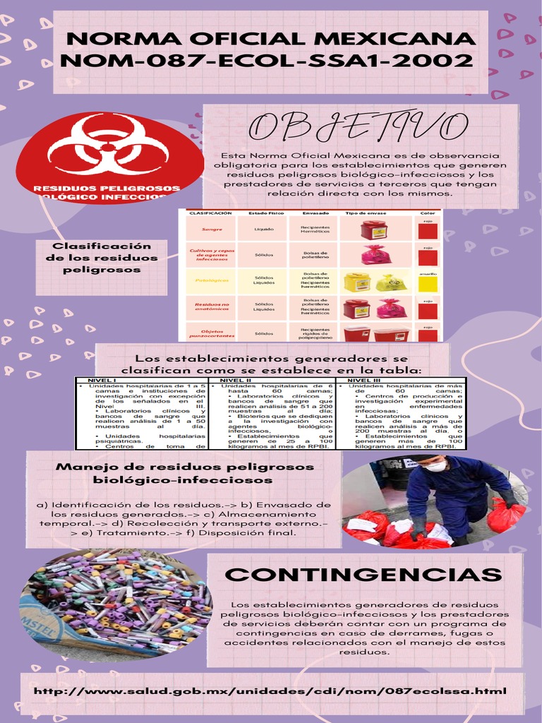 Infografía RPBI | PDF