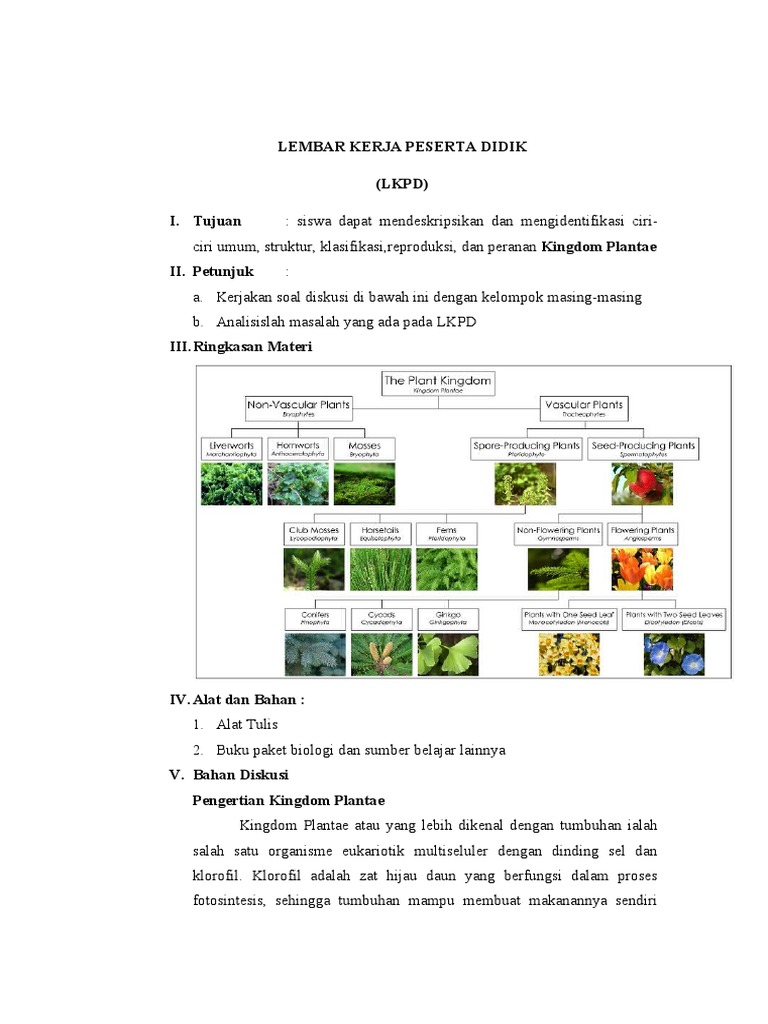 LKPD Kingdom Plantae | PDF