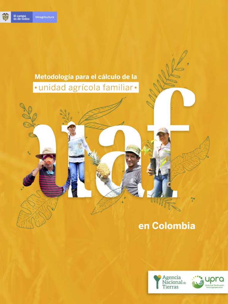 UAF Metodologia | PDF | Tasa interna de retorno | Economias