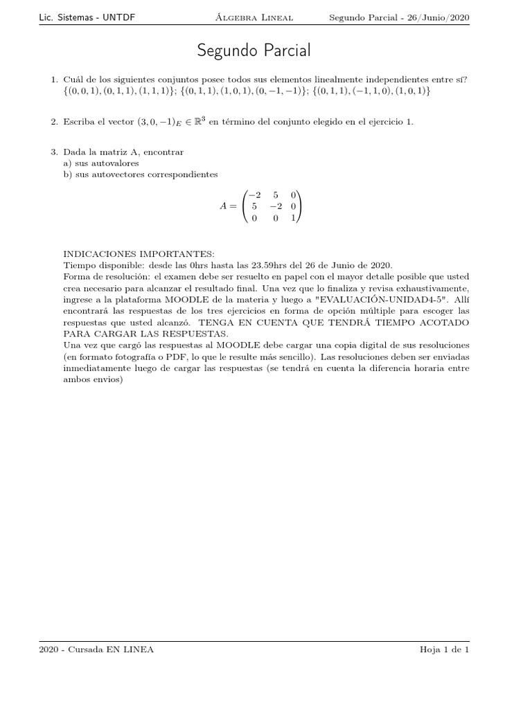 Segundo Parcial | PDF