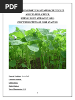 Crop Production Sample SBA | PDF | Fertilizer | Soil