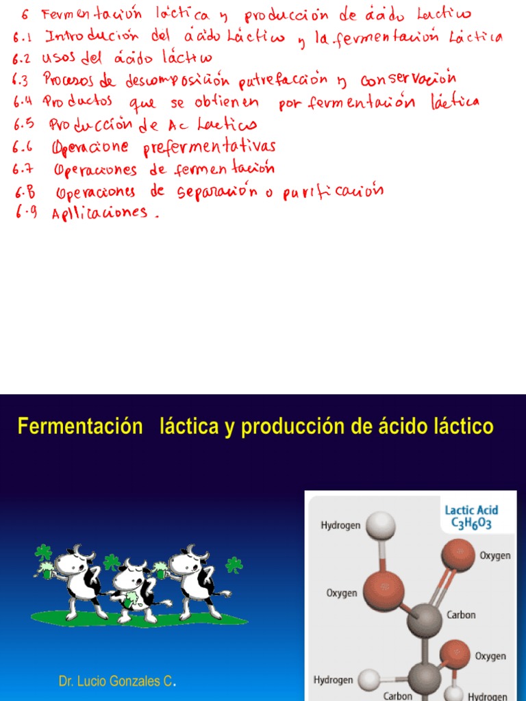 Produccion de Acido Lactico | PDF