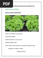 Agricultural Science Broiler Production Sba Sample | PDF | Wellness