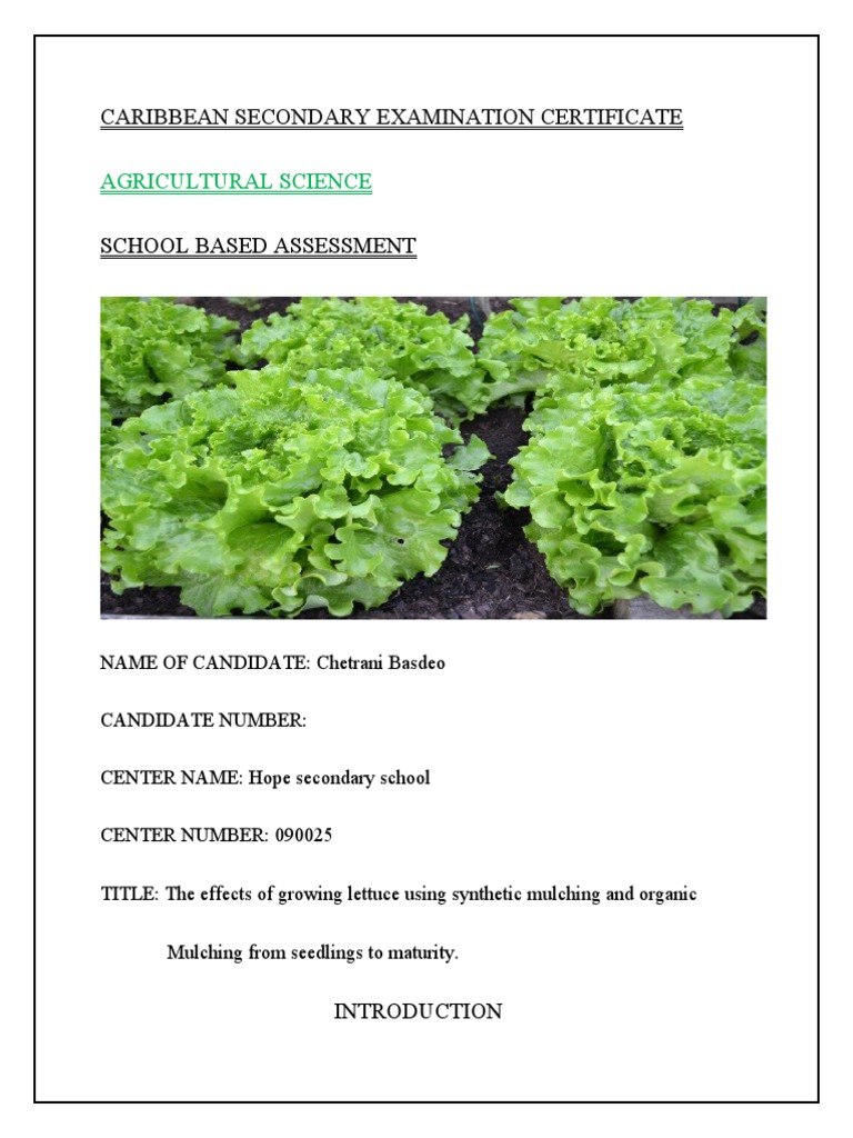 Agricultural Science SBA | PDF | Soil | Plough