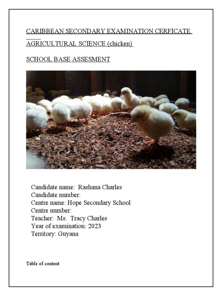 Agri Science Chicken Sba 2022 Rashana | Download Free PDF | Economic Surplus | Broiler