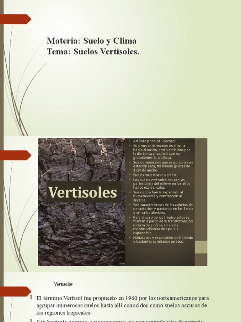 Características de los Vertisoles | PDF
