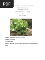 Crop Production Sample SBA | PDF | Fertilizer | Soil