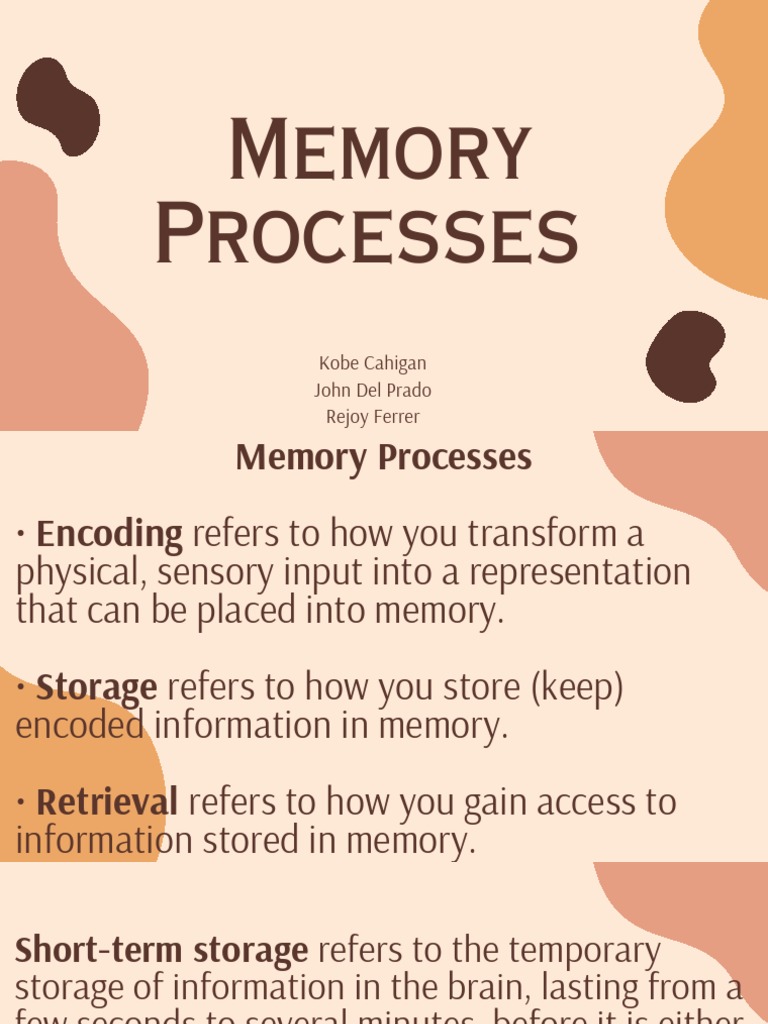 Chapter 6 Memory Processes | PDF | Memory | Recall (Memory)