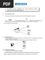 Sentido-del-Oido FICHA PARA IMPRIMIR | PDF