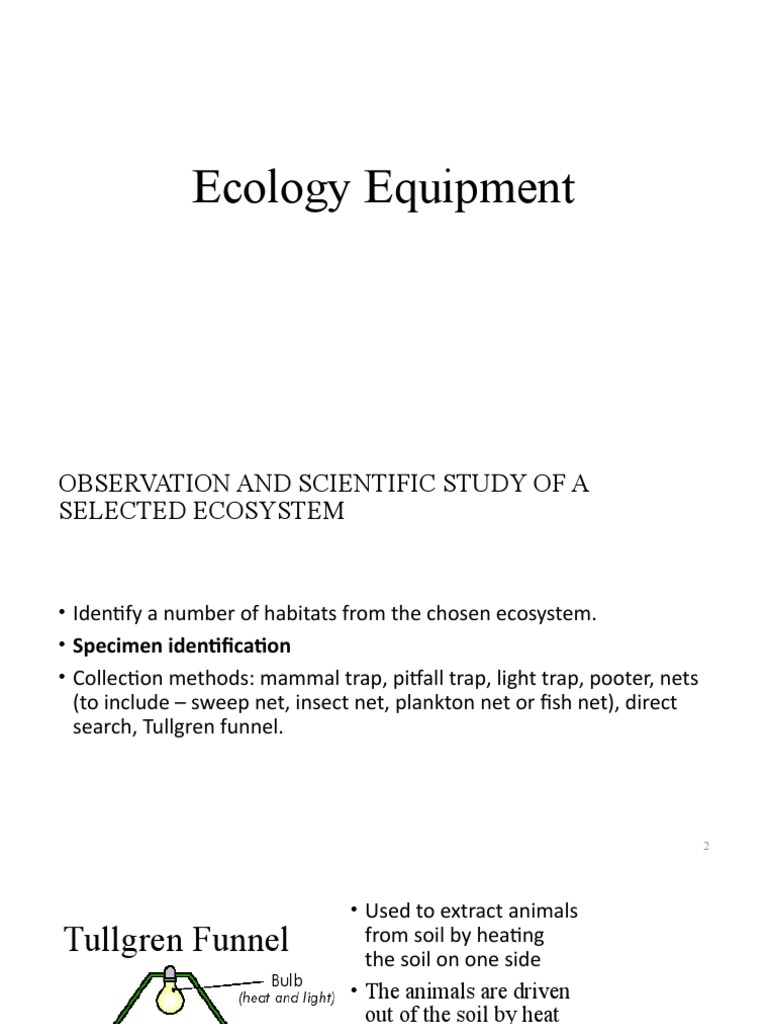 Week 2 Ecology Equipment | Download Free PDF | Insects