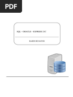 Guía de Instalación Oracle XE y SQL Developer | PDF | SQL | Oracle Corporation