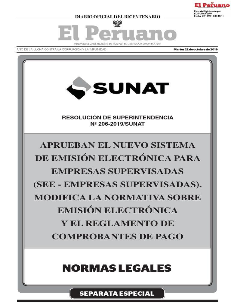 RES N 206-2019 SUNAT RSP Emision Electronica Supervisadas | PDF | Tarjeta de crédito | Informática