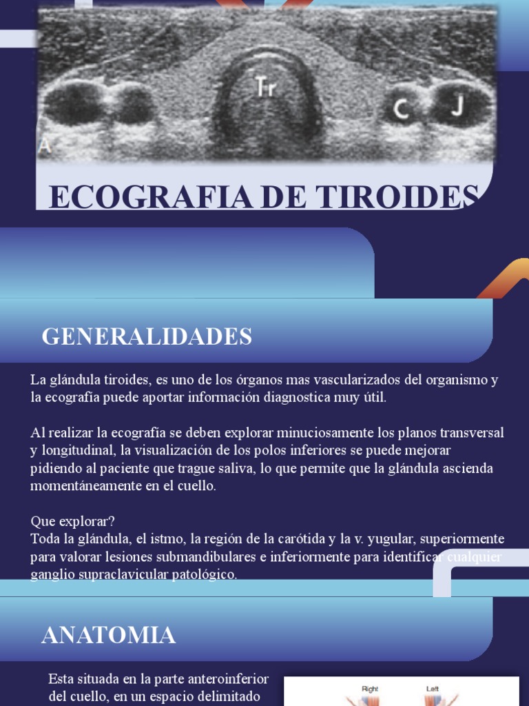 Ecografía de Tiroides: Generalidades y Medidas | PDF | Tiroides ...
