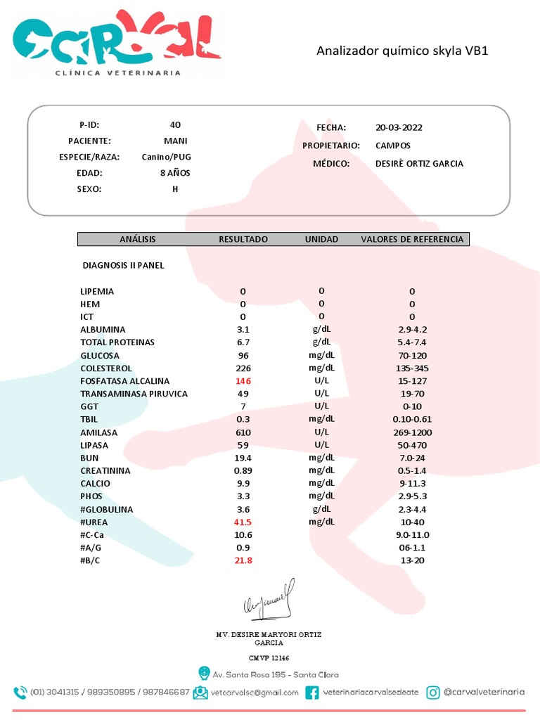 Examen de Sangre Mani Campos | PDF