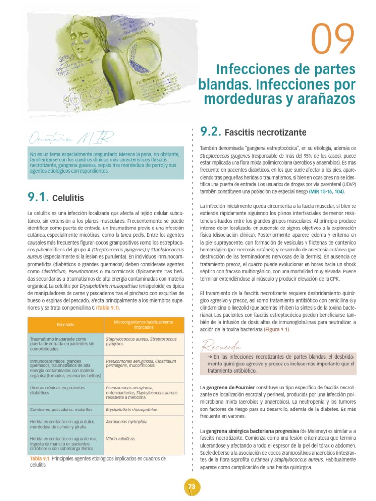 Tema 11. Infección Piel y Partes Blandas. Osteomielitis | PDF ...