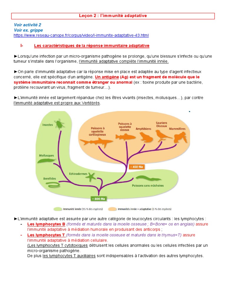 Résumé de l'immunité adaptative | PDF | Système immunitaire | Système ...