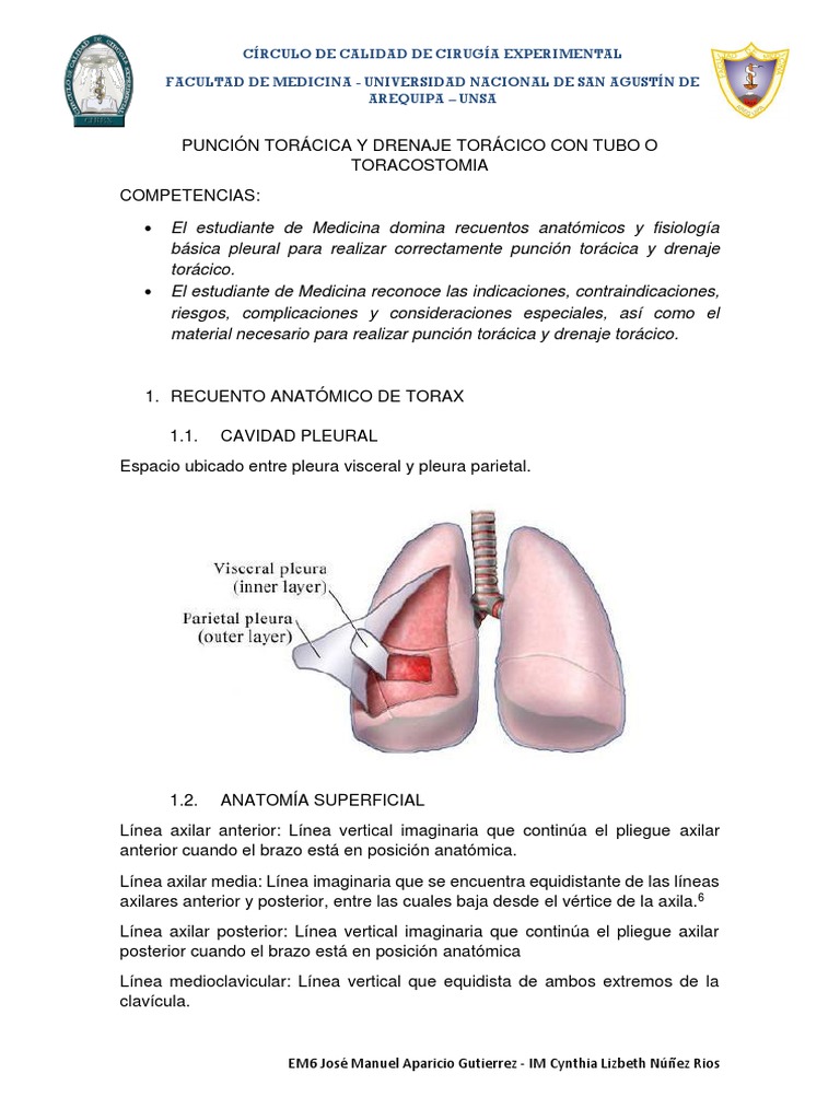 Punción Torácica | PDF | Tórax (anatomía humana) | Medicina