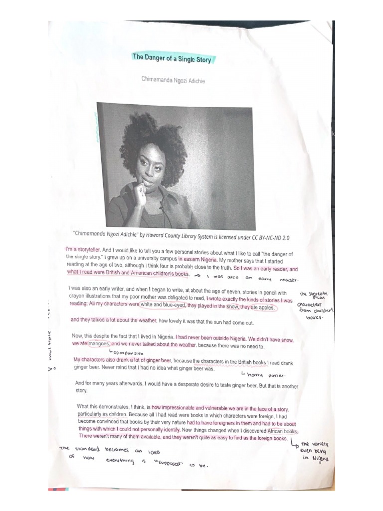 The Danger of A Single Story | PDF
