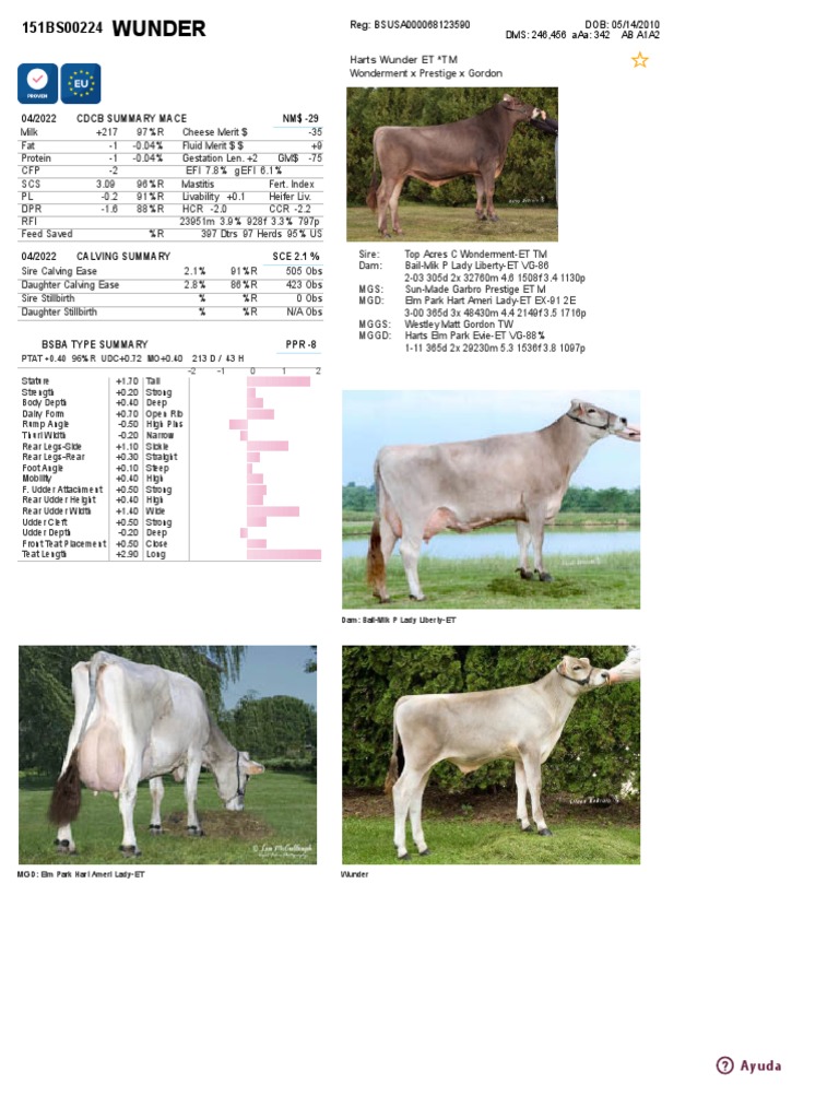 TYPE AND PRODUCTION SUMMARY FOR REGISTERED HOLSTEIN BULL "WUNDER | PDF | Animals And Humans ...