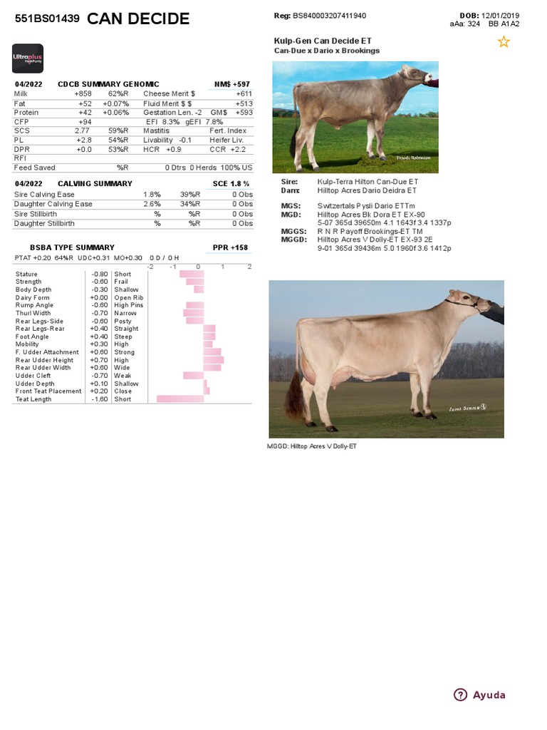 Dairy Bull - 551BS01439 - Kulp-Gen Can Decide ET | PDF | Mammals ...