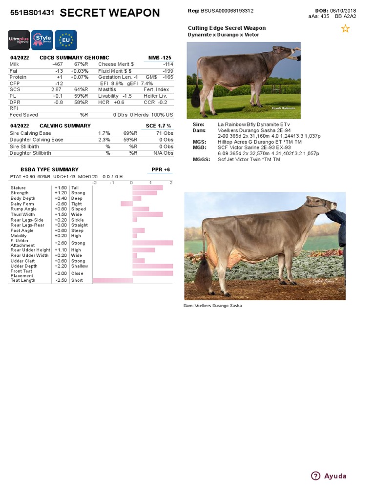 Dairy Bull - 551BS01431 - Cutting Edge Secret Weapon | PDF | Animals ...
