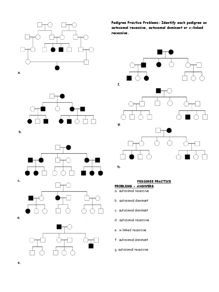 Pedigree Analysis Test | PDF