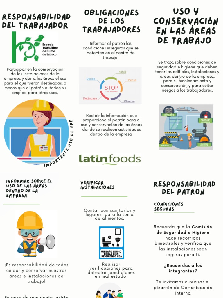 Triptico Nom 01 Lti | PDF