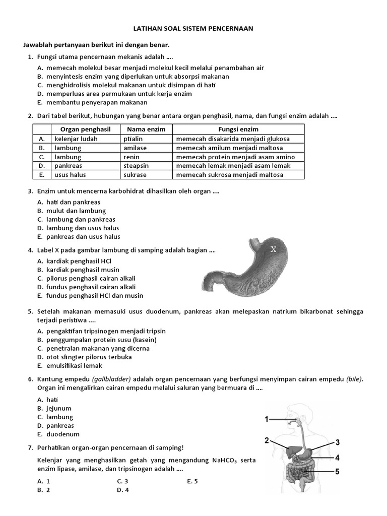 Latihan Soal Sistem Pencernaan | PDF