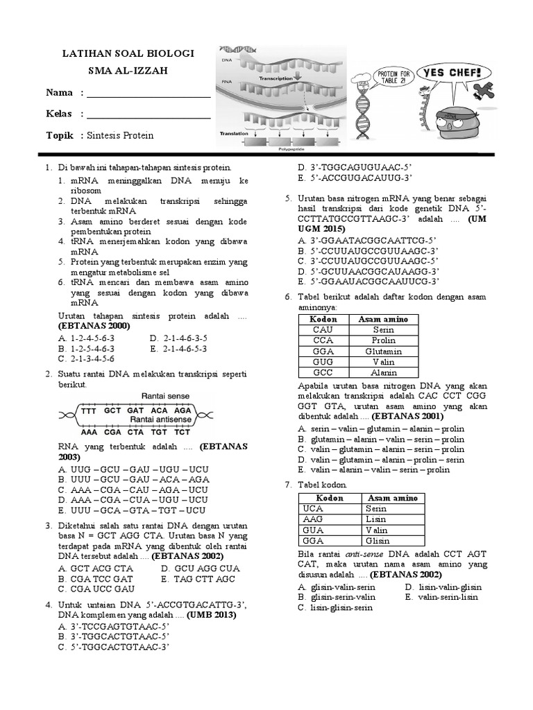 Latihan Soal Sintesis Protein Kelas 12 | PDF