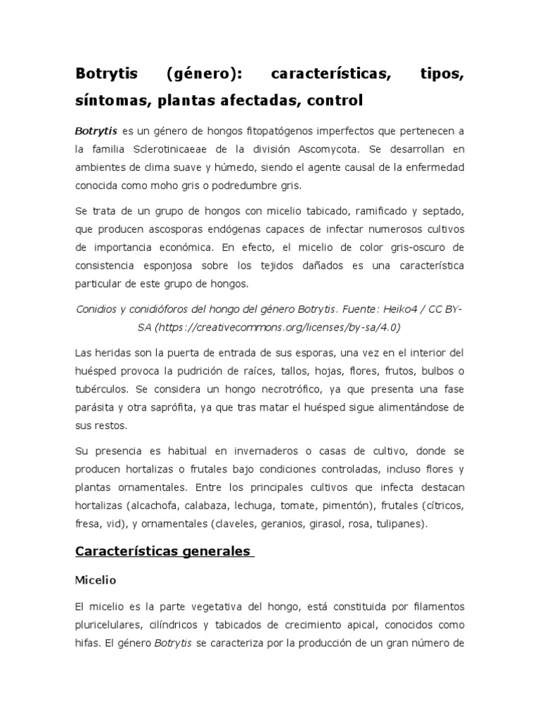 Botrytis (género) | PDF | Agricultura | Hongo