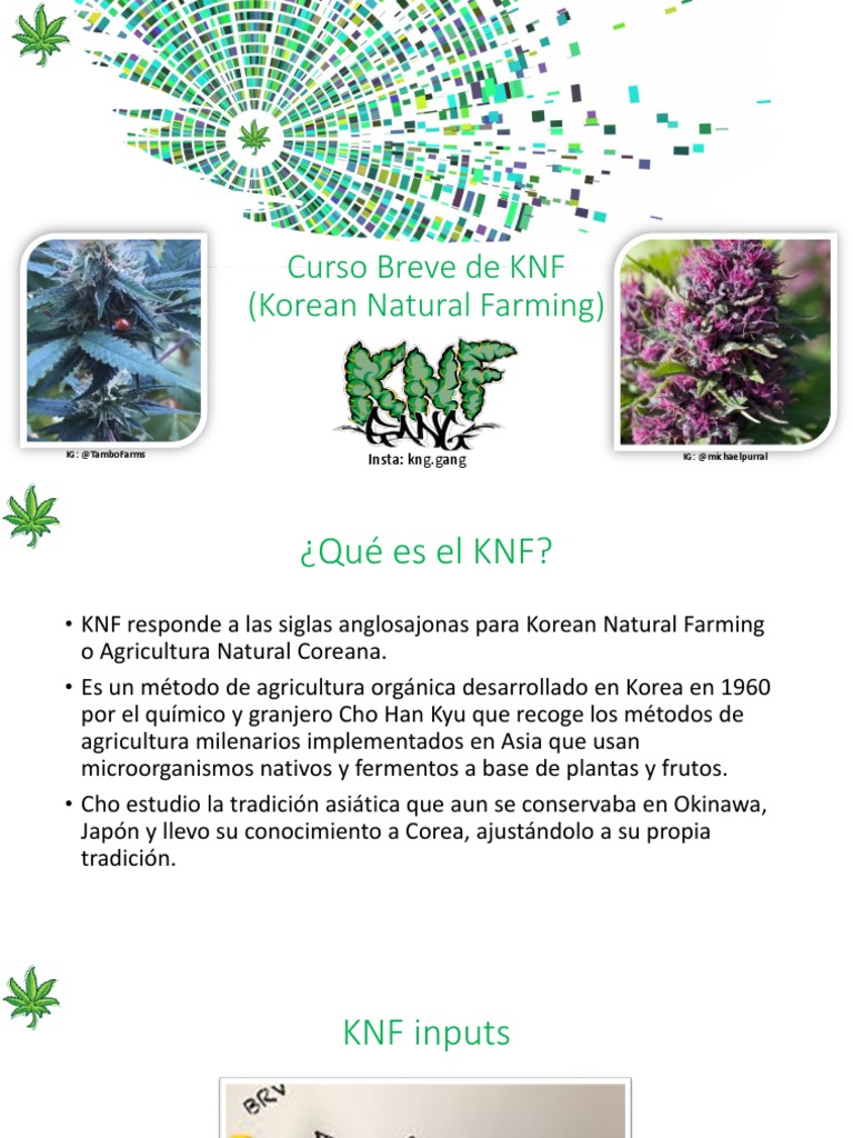 Curso Breve de KNF | PDF | Agua | Melaza