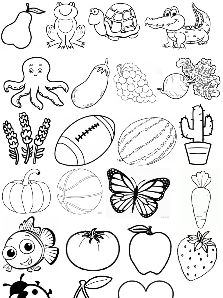 Objetos Para Clasificar Por Color | PDF