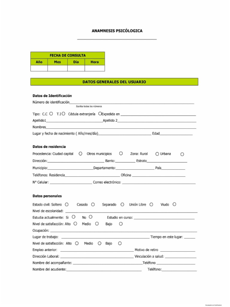 Anamnesis Psicã"logica | PDF