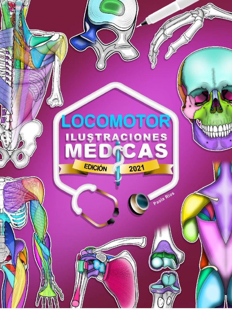 Locomotor - Ilustraciones Médicas Sketch Med, Edición 2021, Paola Rios ...