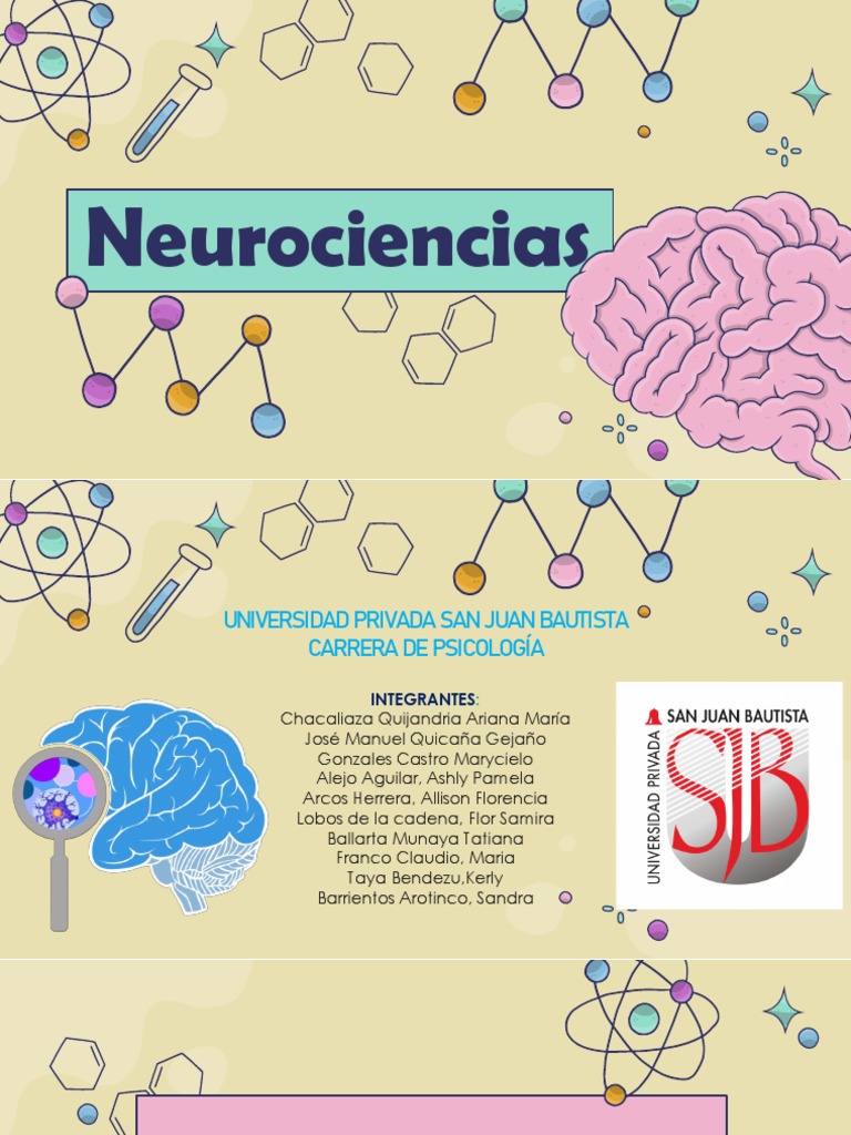 Introducción a las Neurociencias en Psicología | PDF | Neurociencia | Cerebro