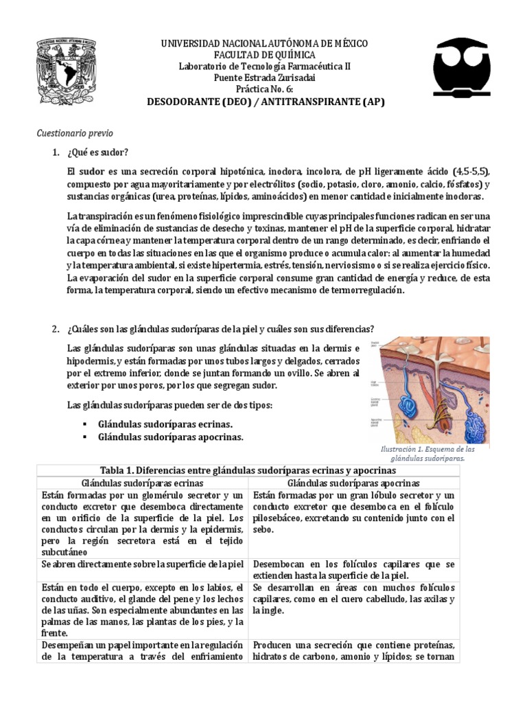 Previo 6. Antitranspirante-Desodorante | PDF | Química | Anatomía humana