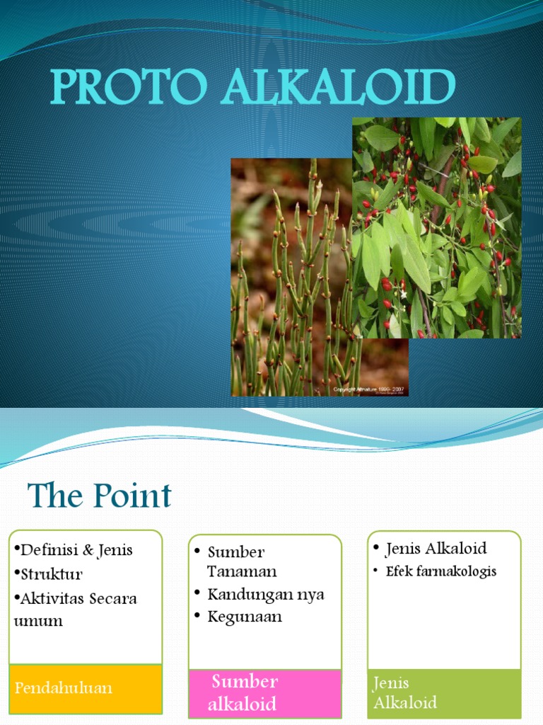 Jenis dan Struktur Protoalkaloid | PDF | Kesehatan Holistik