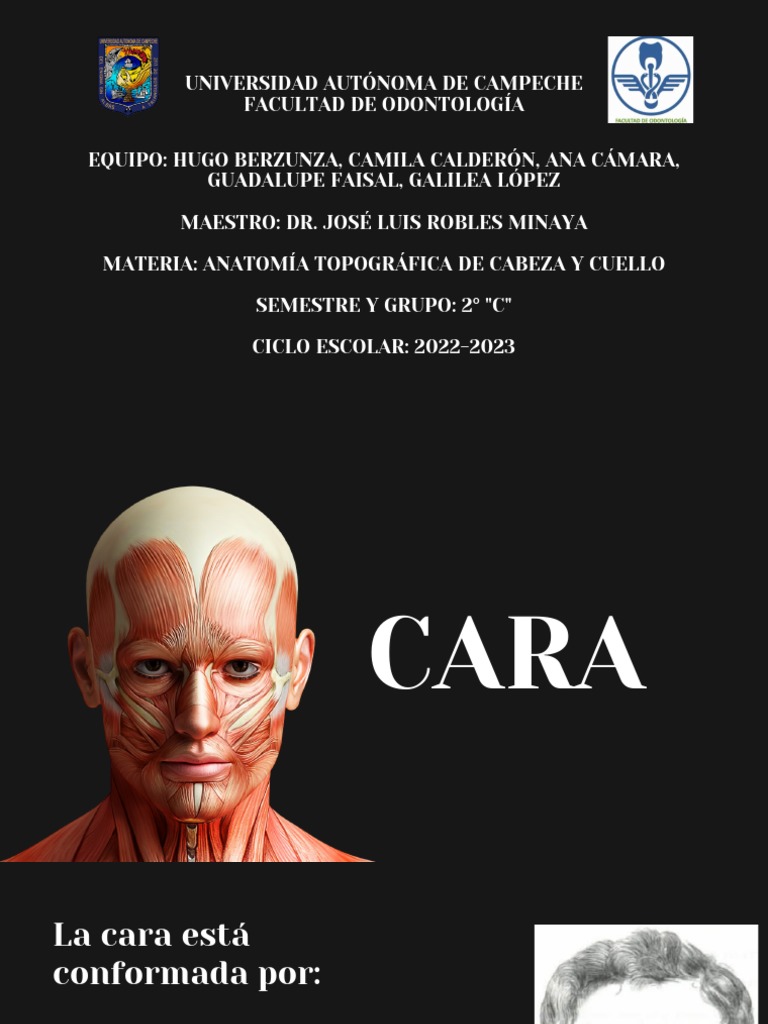 Tema 1 2do Parcial-Topo | PDF | Nariz humana | Cráneo Tema 1 2do Parcial-Topo | PDF | Nariz humana | Cráneo