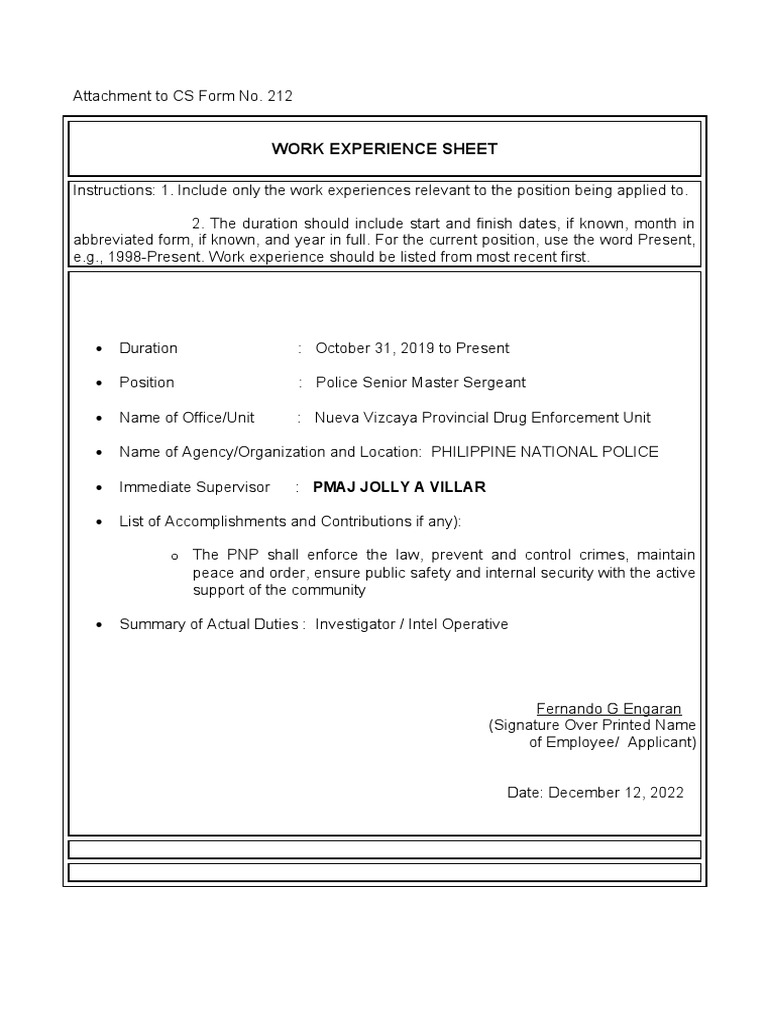 Work Experience Sheet | PDF
